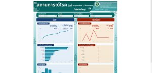 ระบบเฝ้าระวังโรคดิจิทัล DDS - DOE Data Warehouse